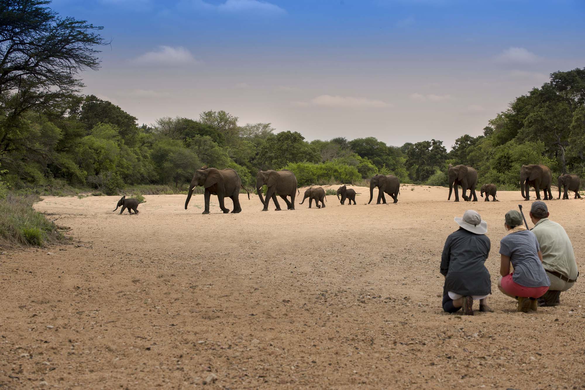 Activities - Tanda Tula