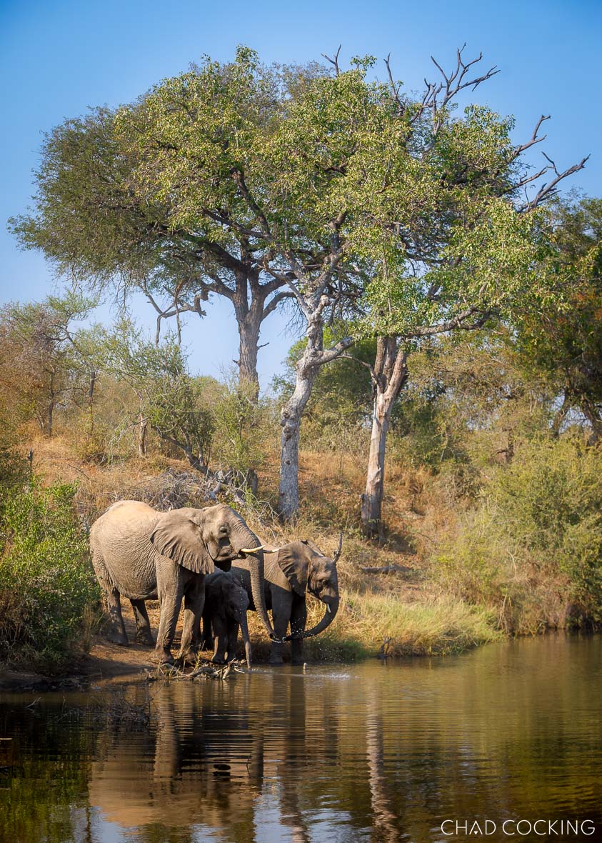 A Week of A Full Moon in Pictures - Tanda Tula